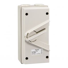 Kavacha - 35A - 250V - Surface Mount single Pole Isolating Switch ...